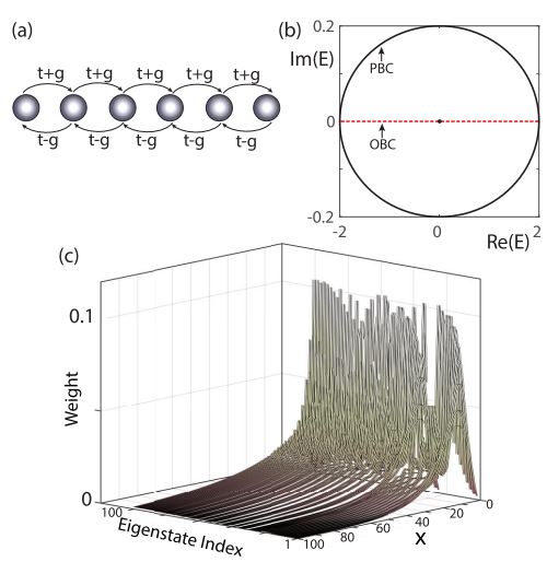 MURI Seminar 11/07/2023 : Quantum skin Hall effect in non-Hermitian ...